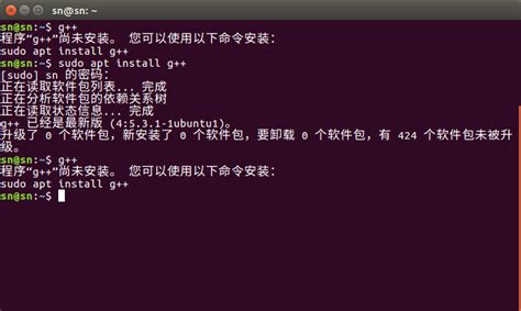 ubuntu下g 用不了 但是提示已经安装 服务器 CSDN问答