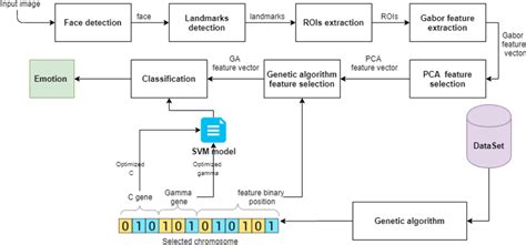 Proposed Method For Facial Expression Recognition Download Scientific