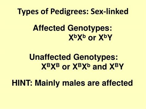 PPT Human Genetic Disorders And Pedigrees PowerPoint Presentation Free Download ID 6781882