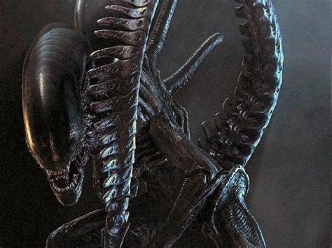 Alien Posicion Defensiva Oo By Fabi0l1 On Deviantart