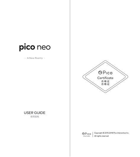 Pico Technology A7110 VR All In One Headset User Manual Neo CV 1128