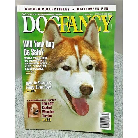 Dog Fancy Magazine October 1993 Soft Coated Wheaten Terrier Etsy
