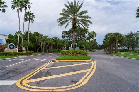 The Best Trees For Parking Lots And Paved Areas In Florida