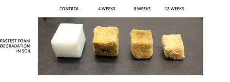 Bio Based Polyurethane Company Secures 5 Million In Funding Sustainable Plastics