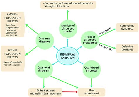 Individual Variation In Seed Dispersers Affects Many Different Aspects