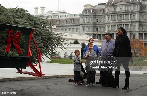 161 Aaron Tannenbaum Photos And High Res Pictures Getty Images