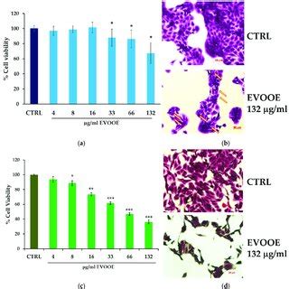 EVOOE Stimulation Effects On Cell Viability In RT And J Cells Download Scientific Diagram