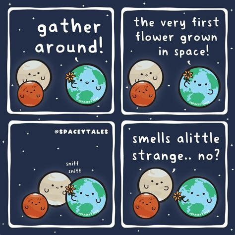 30 Fun-Filled Comics That Will Teach You A Thing Or Two About The ...