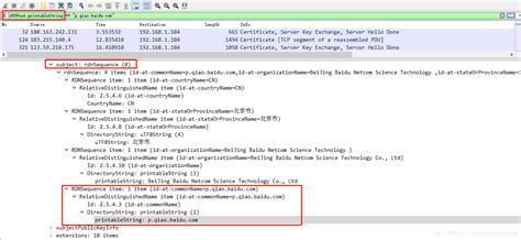 提取pcap网络数据包中数字证书各属性字段信息 pcap提取协议字段 csdn博客