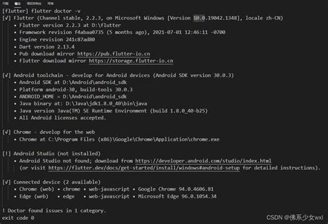 vscode开发fluter时连接真机的注意点 flutter vscode 添加真机设备 csdn博客