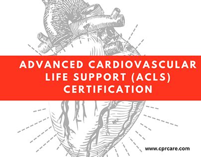 Acls Design Projects Photos Videos Logos Illustrations And Branding Behance