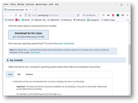 The Downloadbutton Switches To The Linux Version