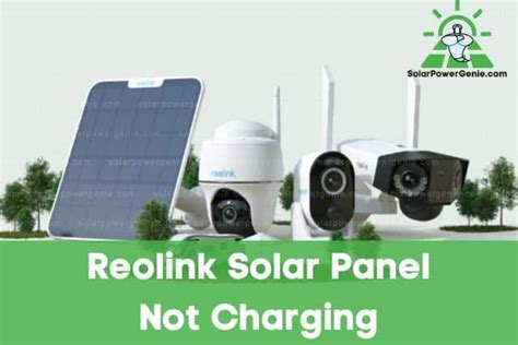 Reolink Solar Panel Not Charging
