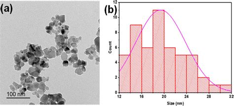 A Tem Image Of Sol Gel Produced Tio2 Nps And B Histogram Download Scientific Diagram