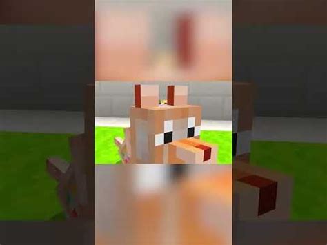 Peter Pan Home Decor