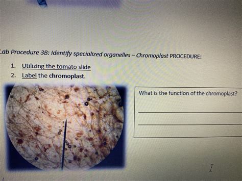 Answered What Is The Function Of The… Bartleby
