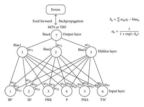 three layer feed forward error—backpropagation neural network model