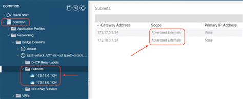 3 3 A Deep Dive Into Openstack Networking With Cisco Aci Opflex Integration External