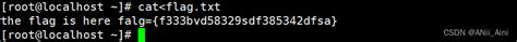 【网络安全 Linux命令绕过】linux下命令执行绕过技巧（很全，很实用）linux命令执行绕过 Csdn博客