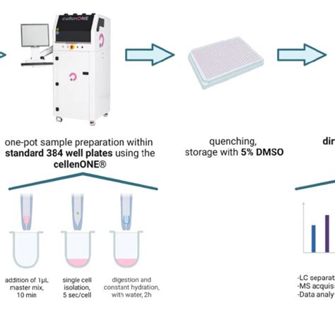Overview Label Free One Pot Single Cell Sample Processing Workflow Download Scientific