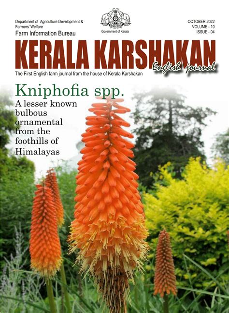 Pdf Autonomous Robotic Weed Control Systems