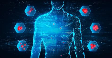 Understanding Metabolic Health Through A Detailed Guide
