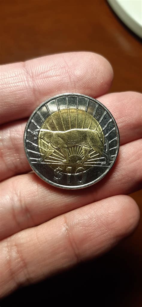 Muchachoo Quiero Comprar Caba Con El Pumita Rargentina