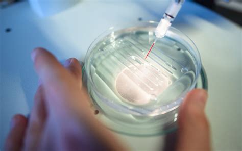The Gene Editing Revolution Is Already Here