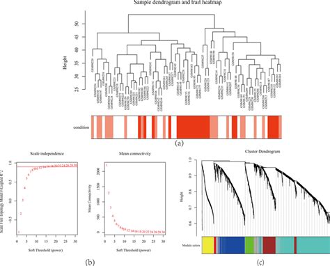 A Clustering Dendrogram Of 69 Samples B Determination Of Download Scientific Diagram