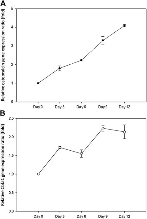 Quantification Of Osteogenic Related Gene Expression In Download