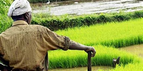 ගොවීන්ට යළිත් විශ්‍රාම වැටුප්