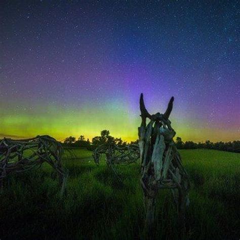 Stream Kevin Willison Music Listen To Songs Albums Playlists For Free On Soundcloud