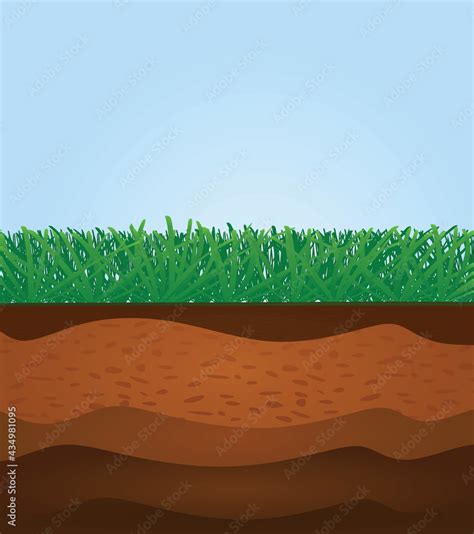 Grass Soil Layers Vector Illustration Stock Vector Adobe Stock
