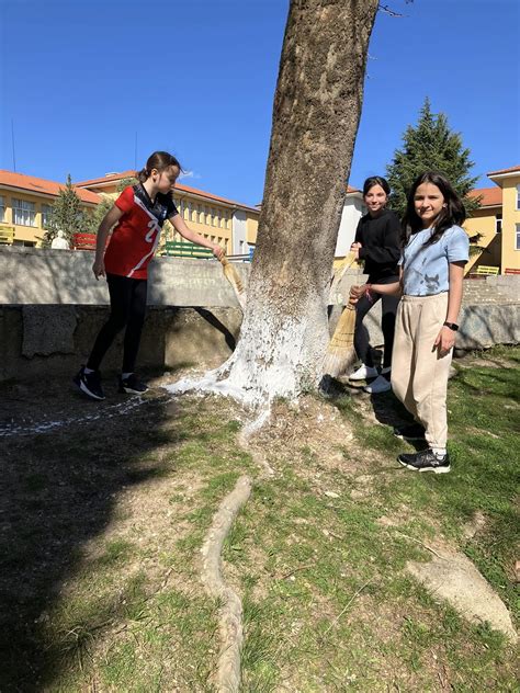 Проект Успех за теб