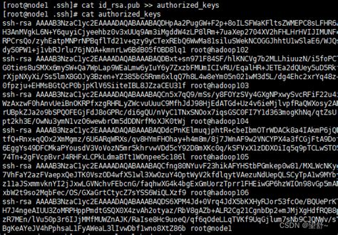 解决 start dfs sh还需要输入ssh密码的问题 start dfs sh ssh config csdn博客