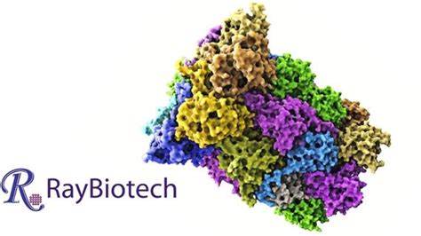 Raybiotech Kataloglar Alfagen