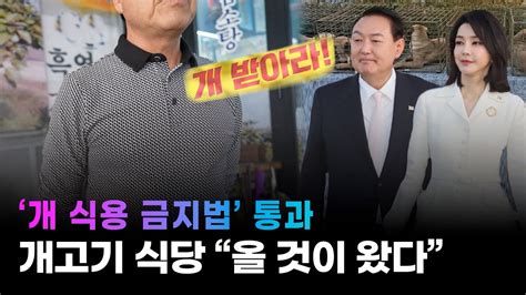 육견협회 무력 시위 예고 용산에 개 200만마리 푼다 Youtube