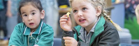 Welcome To Singleton Primary School Razoreye