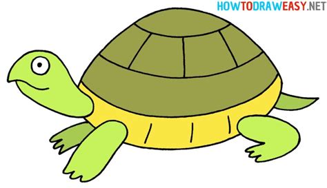 How To Draw A Turtle How To Draw Easy