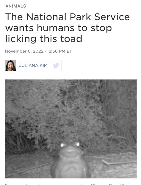 Hypnotoad R Futurama