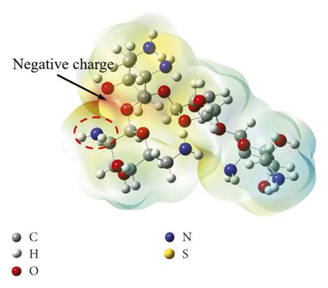 Neomycin Electrostatic Potential Distribution And Structure Diagram Of