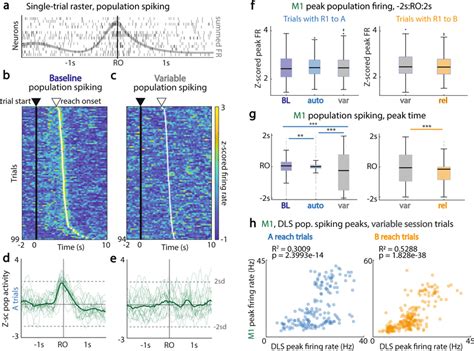 M1 Single Trial Population Spiking Activity Loses Temporal Consistency Download Scientific