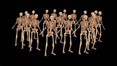 Dancing Skeleton Skeletals Animation Stock Motion Graphics Sbv 338427579 Storyblocks