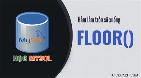 Hàm Floor Làm Tròn Giá Trị Xuống Trong Mysql