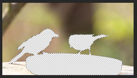 How To Delete A Selection In Photoshop Brendan Williams Creative