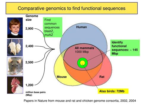 PPT Comparative Genomics I Tools For Comparative Genomics PowerPoint Presentation ID