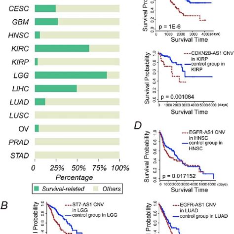 a categories of functional lncrnas cnv in cancers b a global map