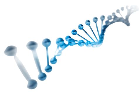 케이진 다이어트 유전자 검사