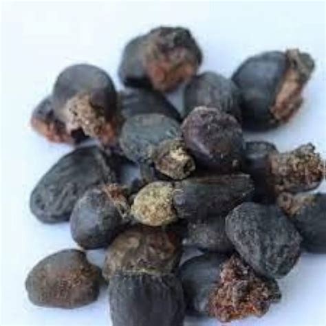 Semecarpus Anacardium Seed At Best Price In Dehradun Id 16063371662