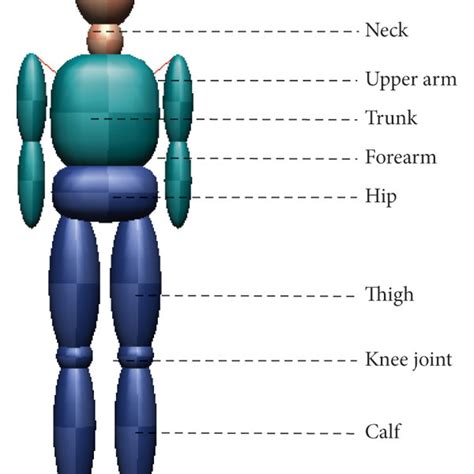 Distribution Of Pedestrian Injuries Download Scientific Diagram